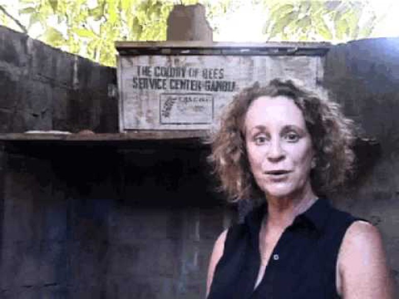 Gardens for The Gambia - Bee Hives for Schools | Philippa Gregory ...